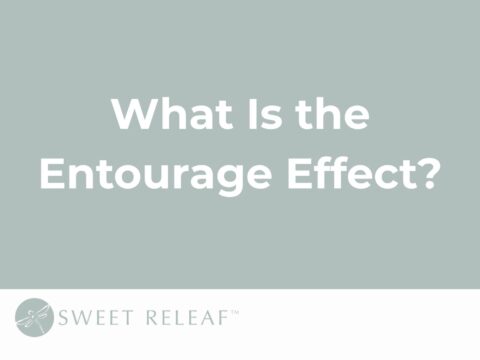 What Is the Entourage Effect and Is It Real · Sweet Releaf